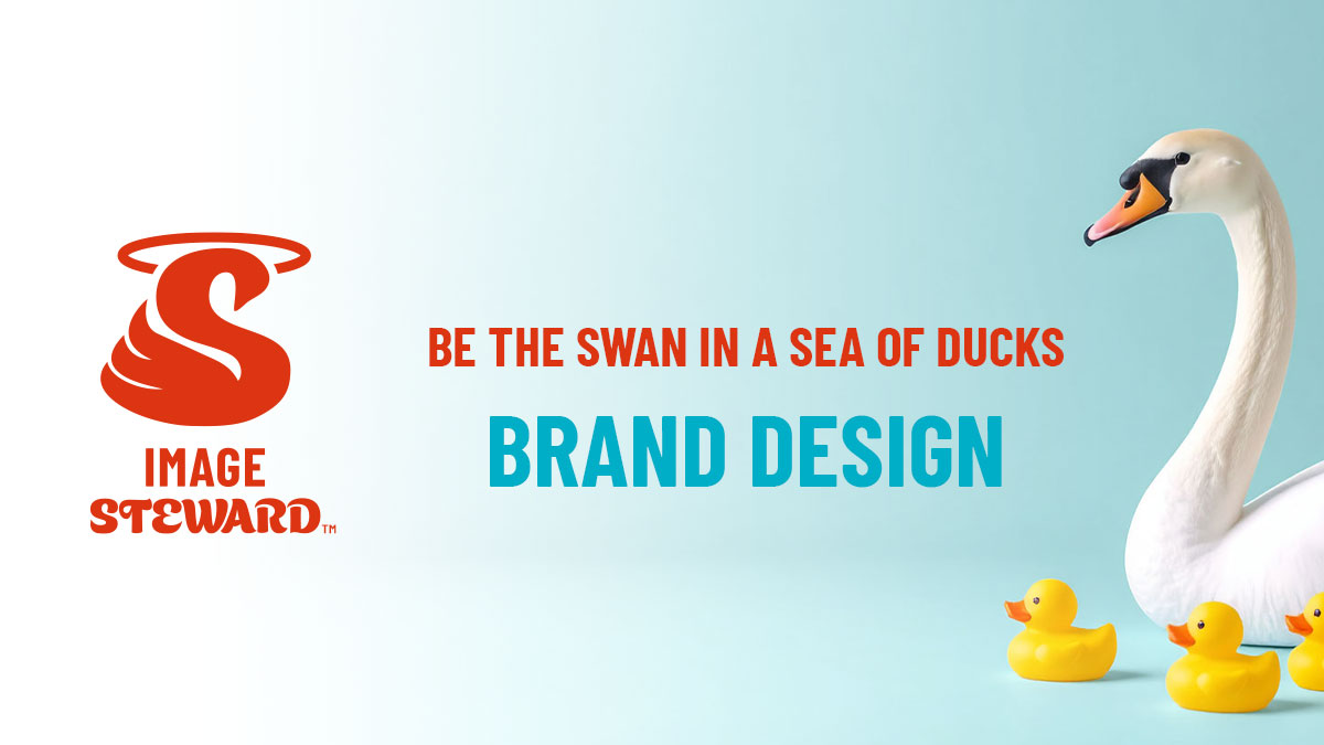 Brand & Logo Design | Image Steward